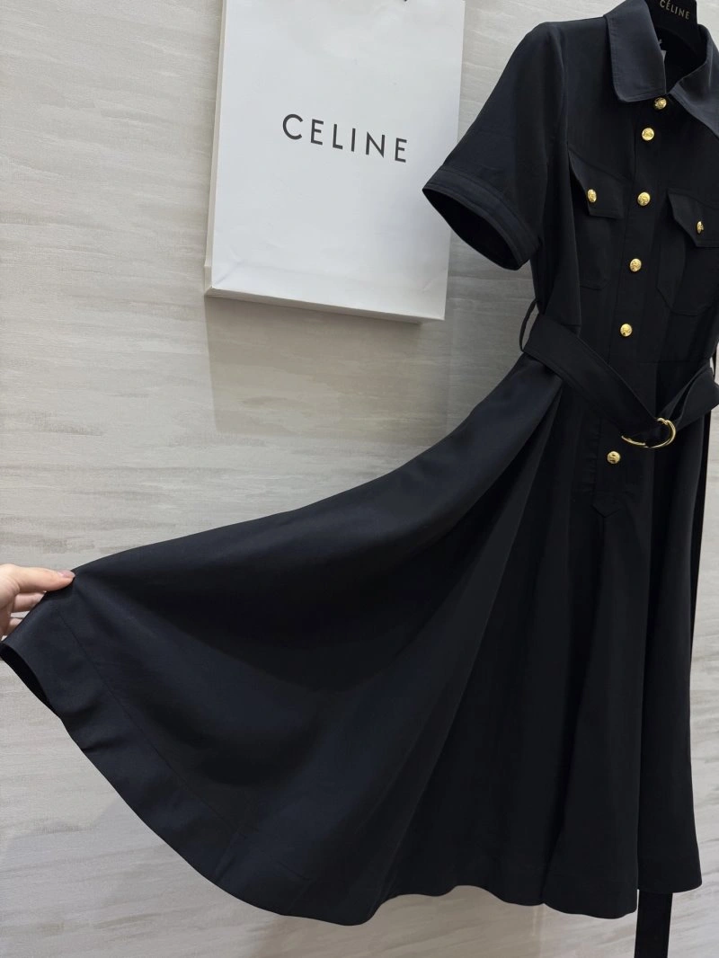 Indistinguishable Celine Dress