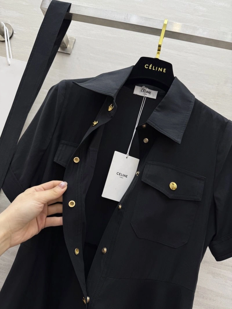 Indistinguishable Celine Dress