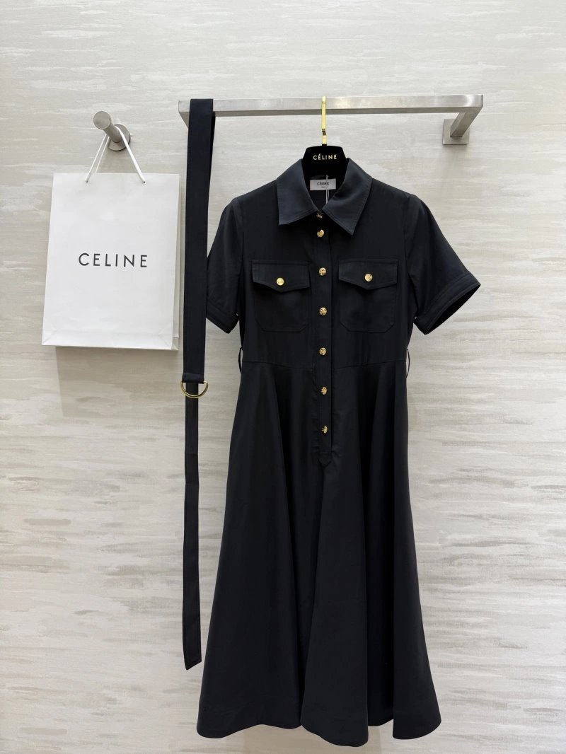 Indistinguishable Celine Dress