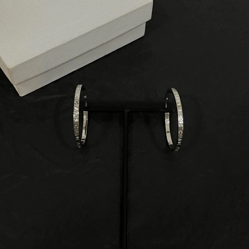 Reasonably priced Celine Earrings
