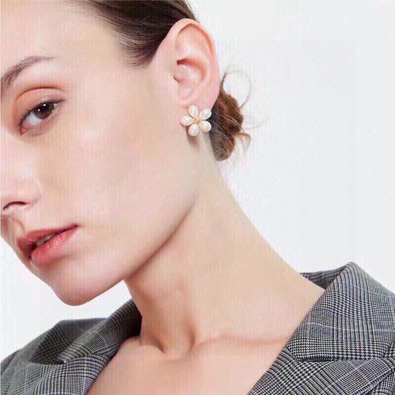 Indistinguishable Celine Earrings