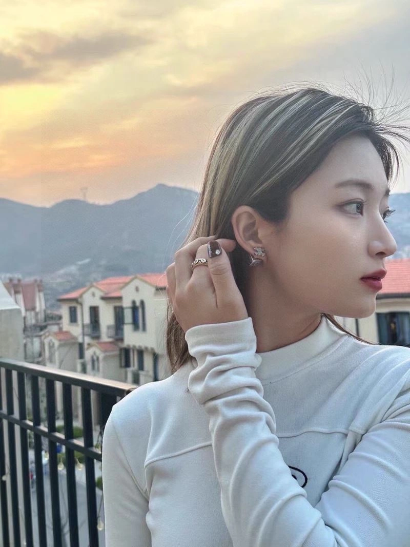 Official Celine Earrings