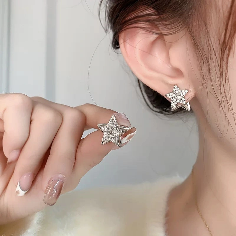 High accuracy Celine Earrings