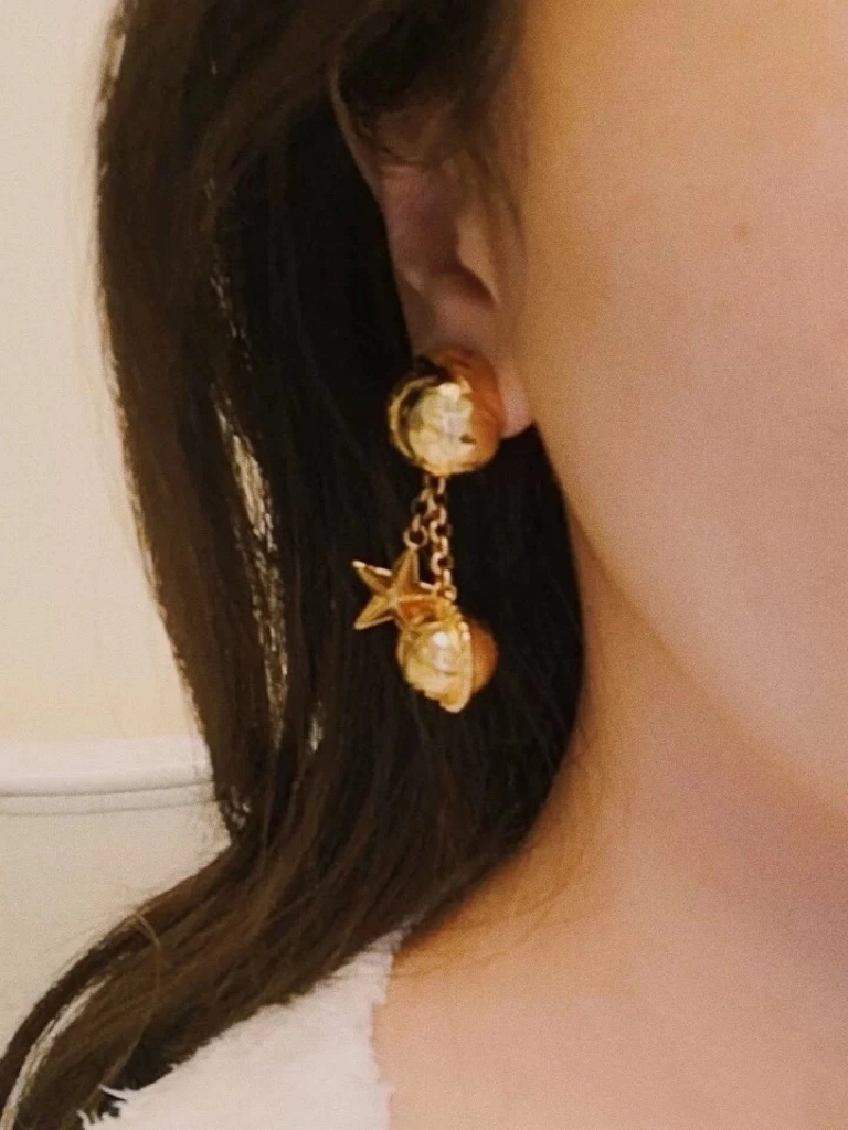 Top match Celine Earrings