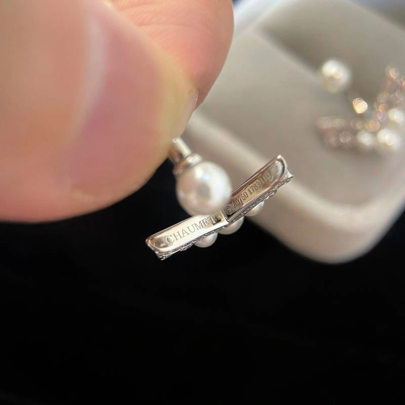 Indistinguishable Celine Earrings