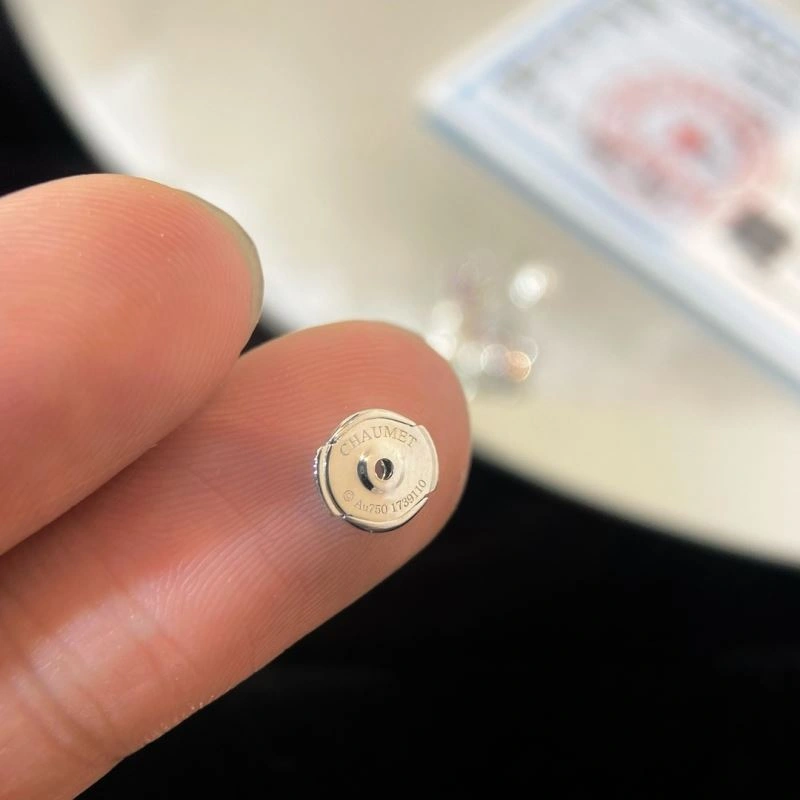 Indistinguishable Celine Earrings