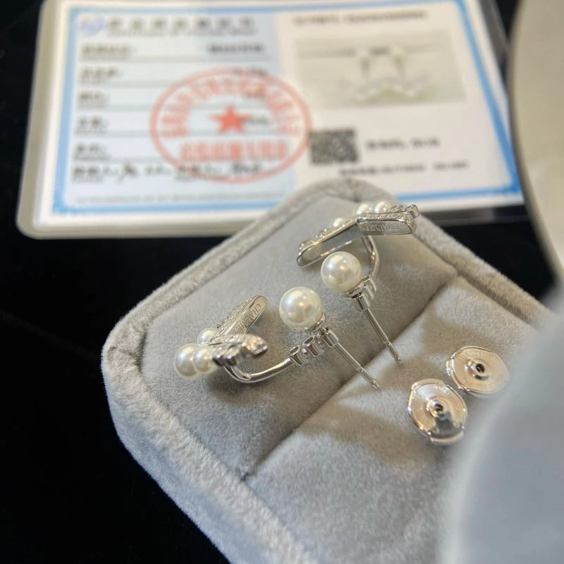 Indistinguishable Celine Earrings