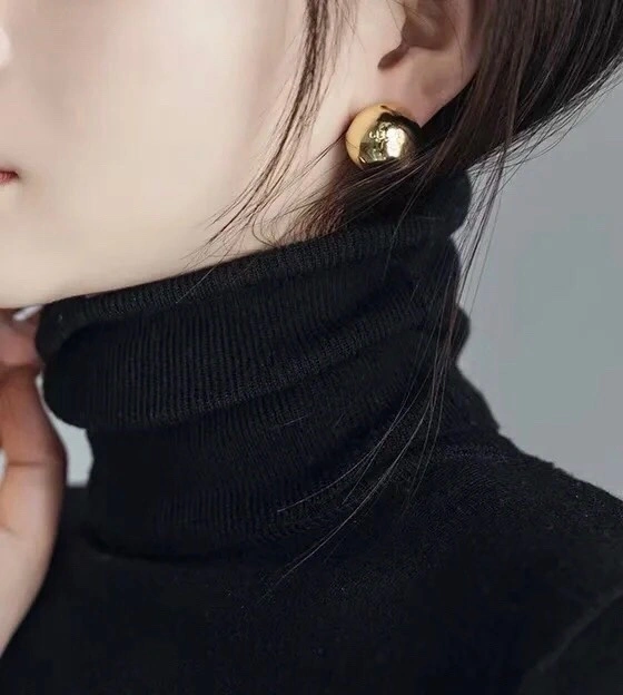 Reasonably priced Celine Earrings