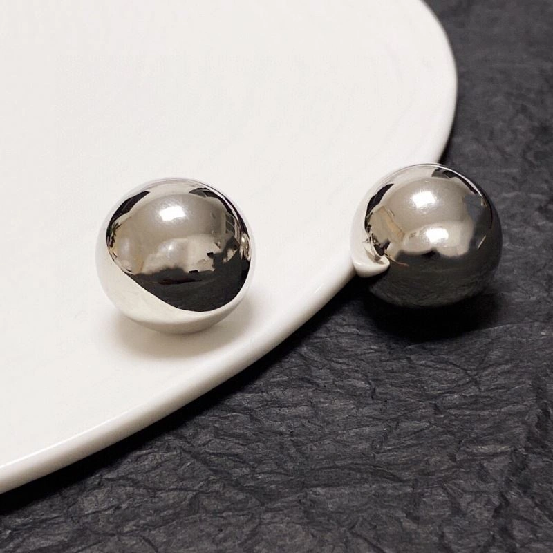 Reasonably priced Celine Earrings