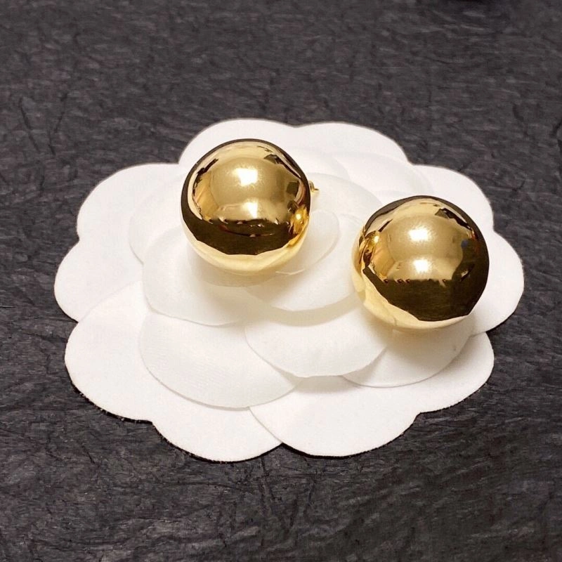 Reasonably priced Celine Earrings