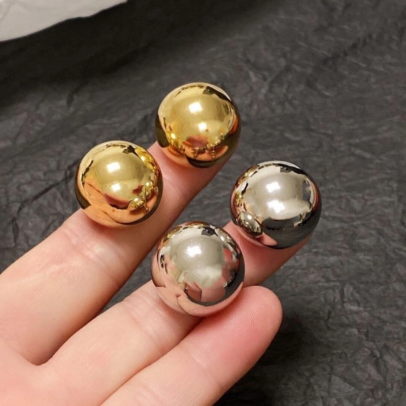 Reasonably priced Celine Earrings