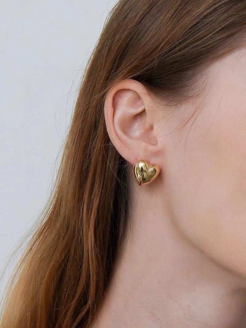 Legit Celine Earrings