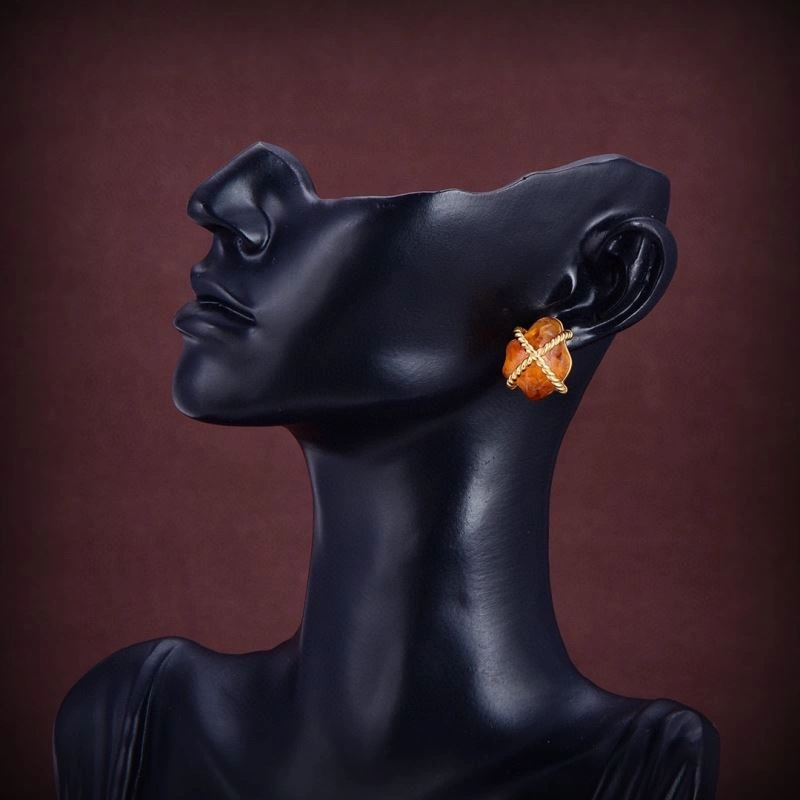 High accuracy Celine Earrings