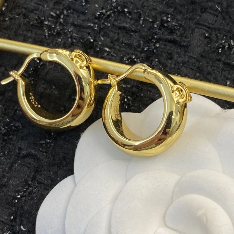 High accuracy Celine Earrings