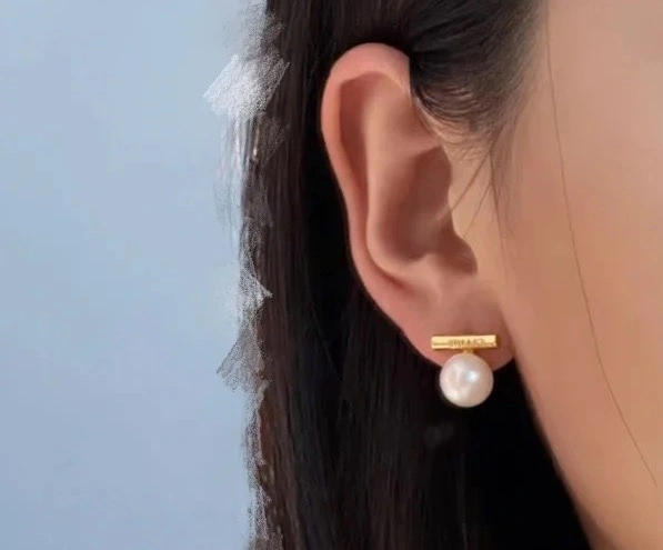 Reasonably priced Celine Earrings
