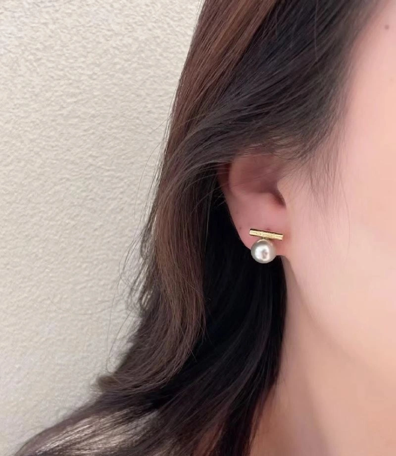 Reasonably priced Celine Earrings