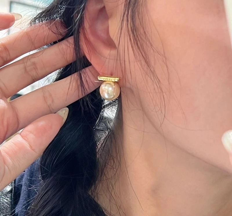 Reasonably priced Celine Earrings