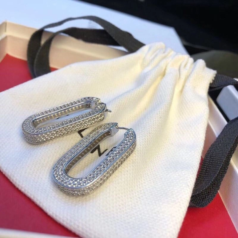 Value-priced Celine Earrings