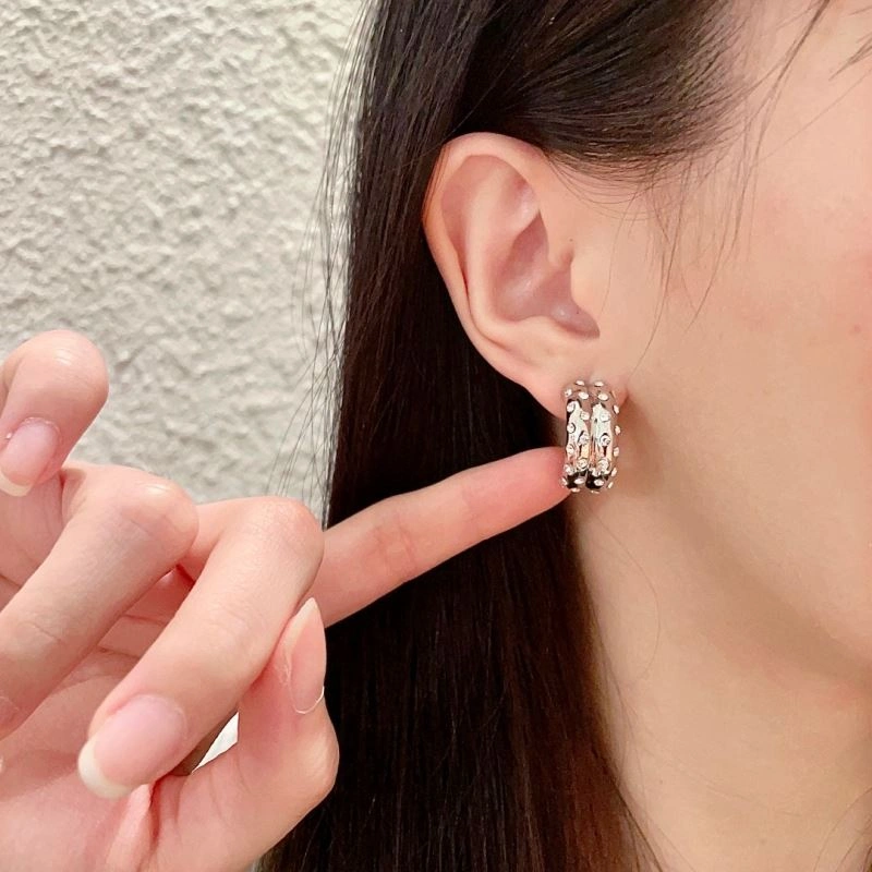Mirror quality Celine Earrings