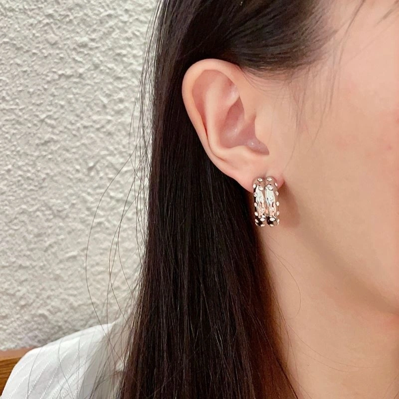 Mirror quality Celine Earrings