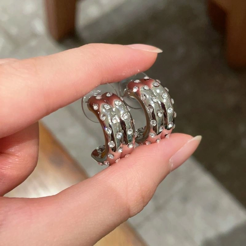 Mirror quality Celine Earrings