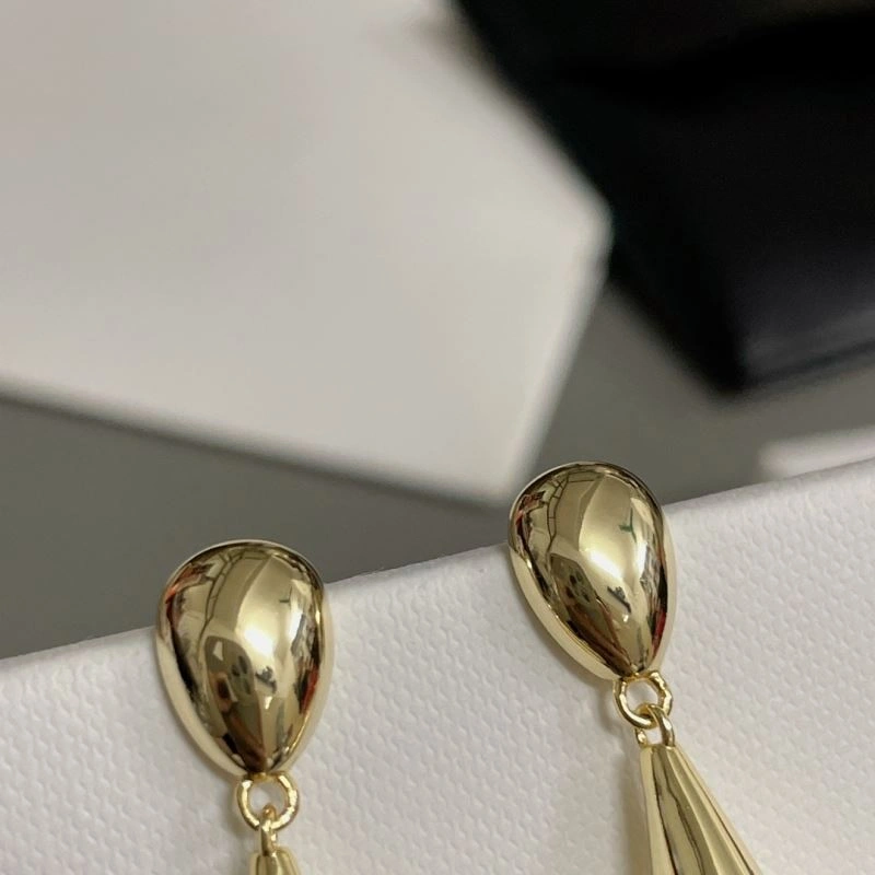 Indistinguishable Celine Earrings
