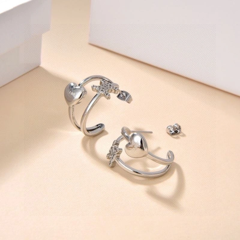 Exact replica Celine Earrings