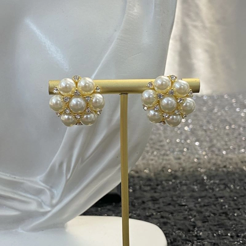 Budget-friendly Celine Earrings
