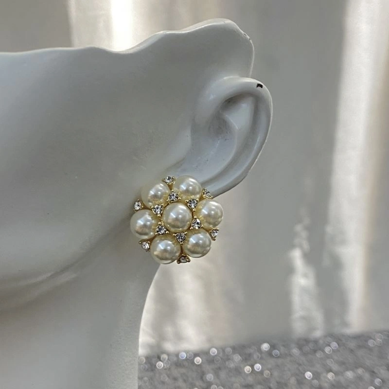Budget-friendly Celine Earrings