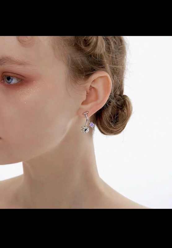 Indistinguishable Celine Earrings