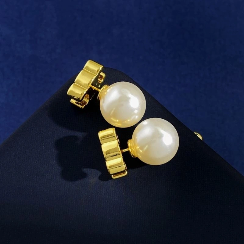 Reasonably priced Celine Earrings