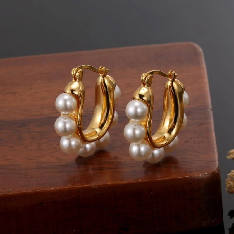 Discounted Celine Earrings