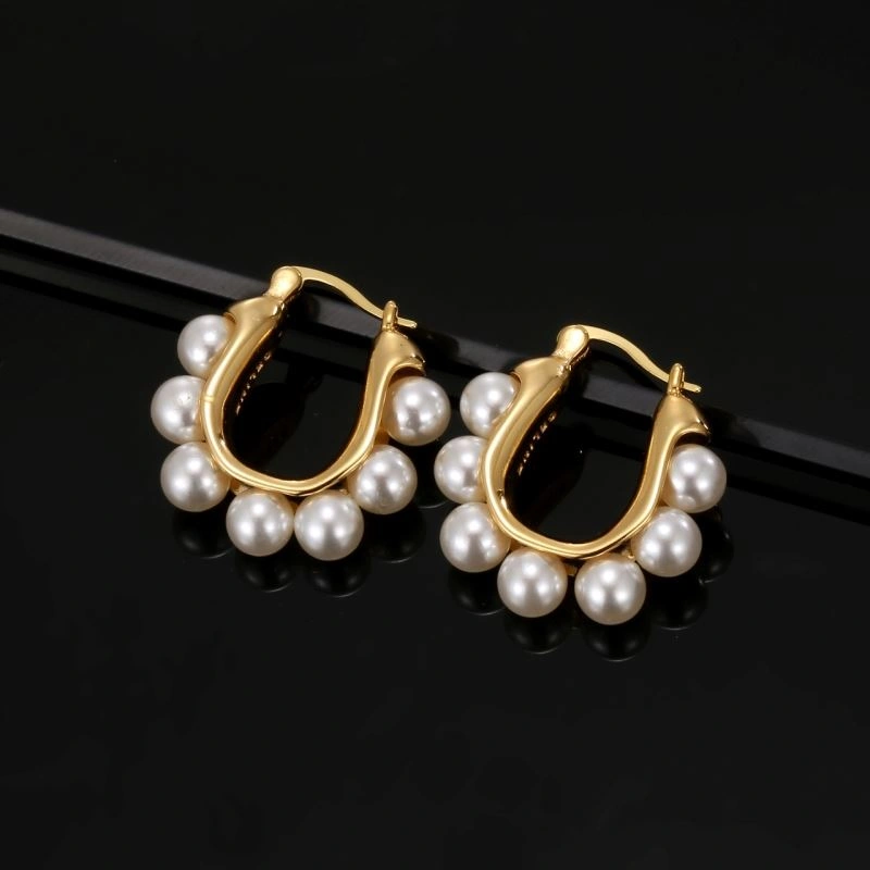 Discounted Celine Earrings