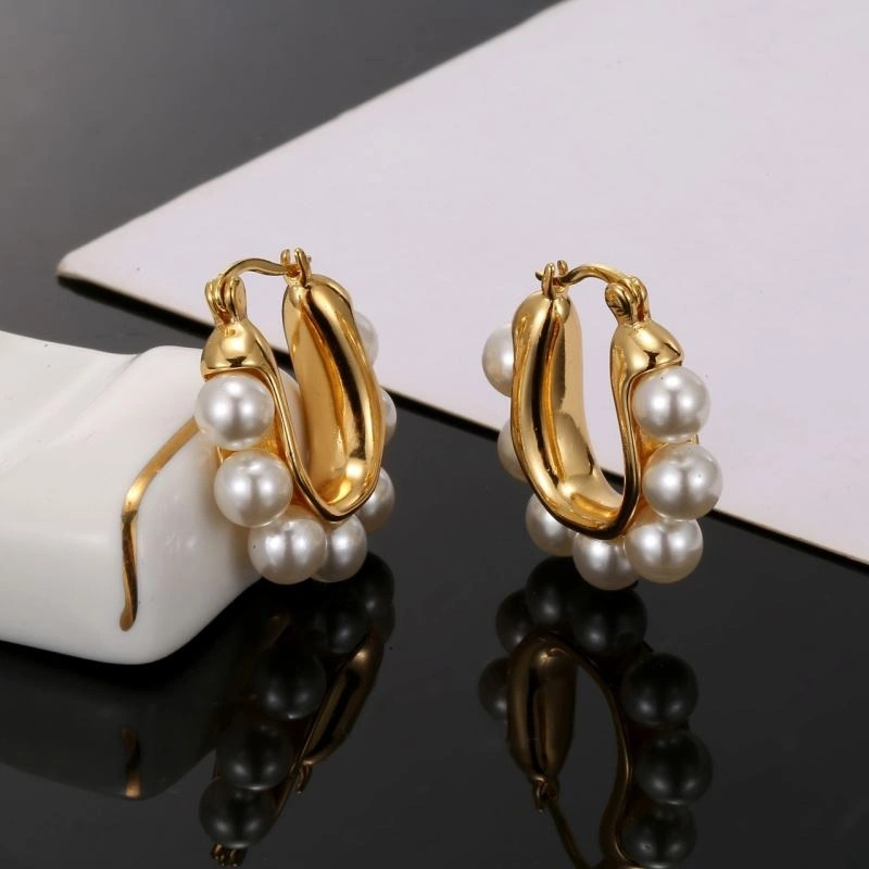 Discounted Celine Earrings