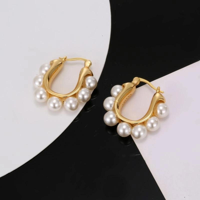 Discounted Celine Earrings