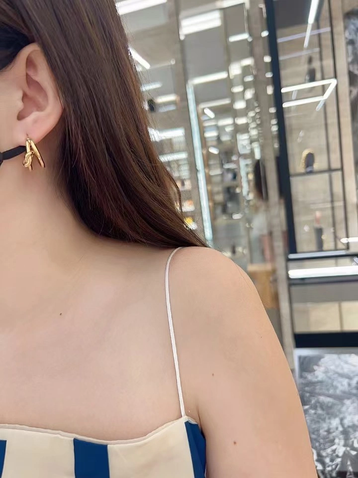 Economical Celine Earrings