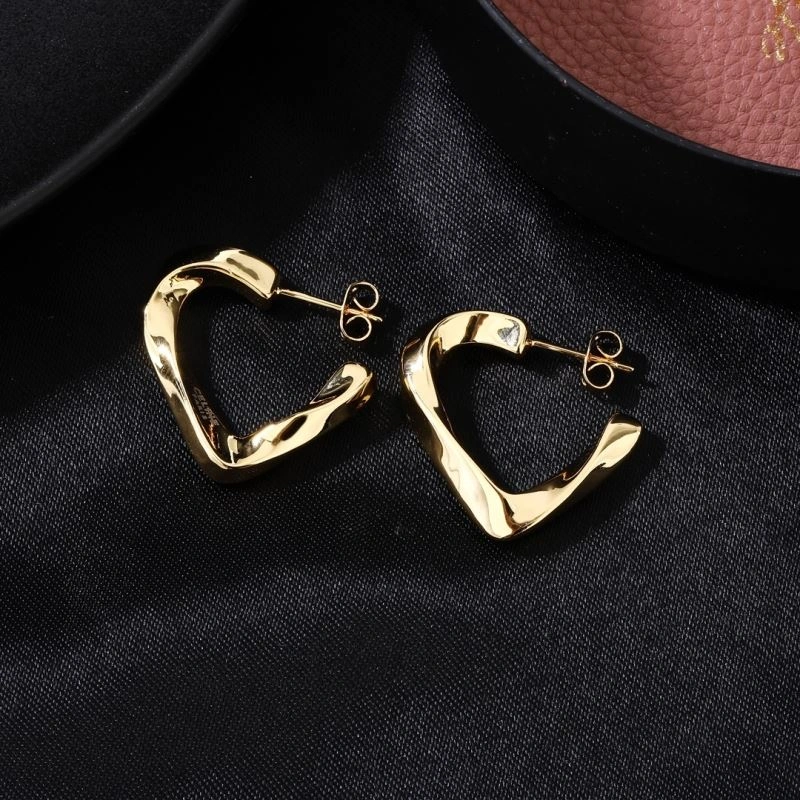 Accurate model Celine Earrings