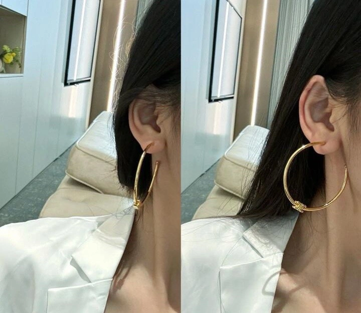 High fidelity Celine Earrings