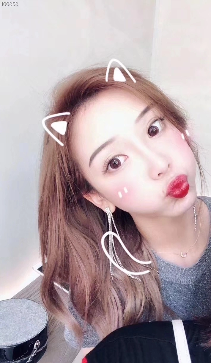 Mirror quality Celine Earrings