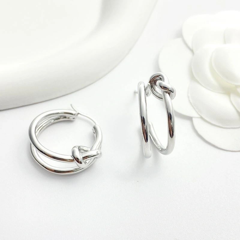 Value-priced Celine Earrings