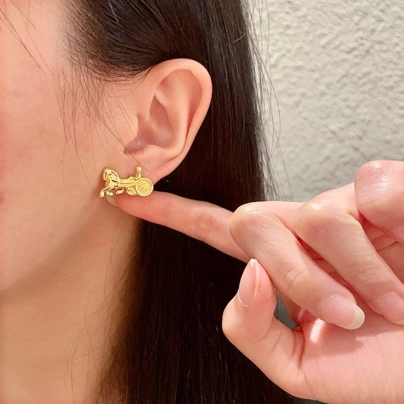 Cut-rate Celine Earrings