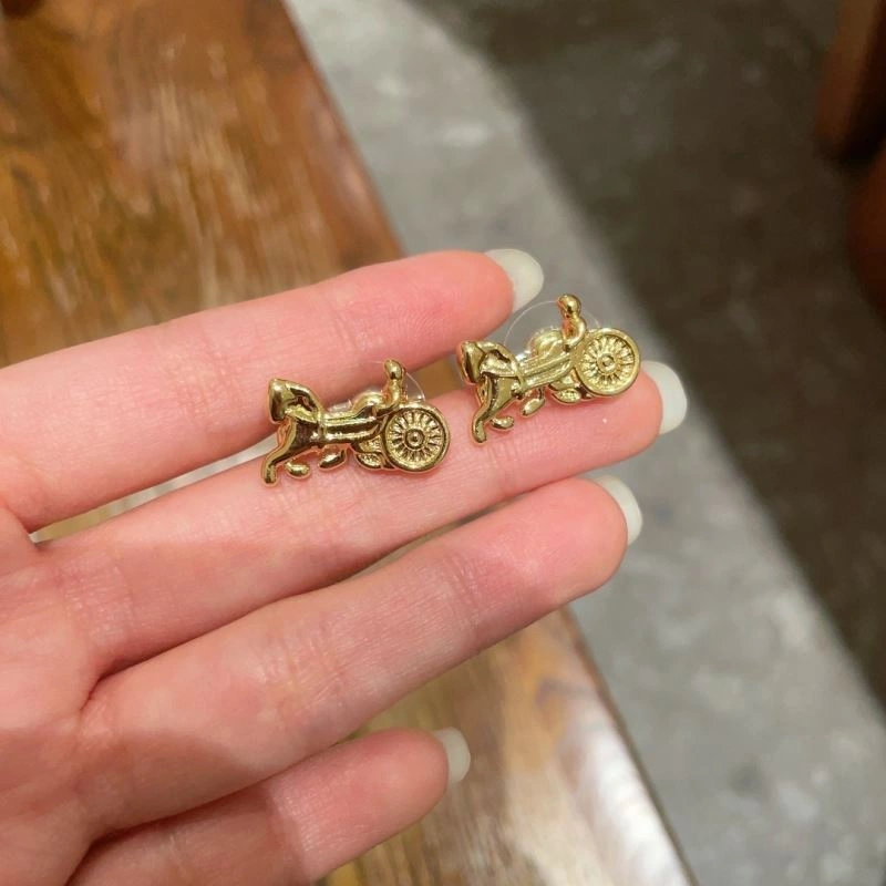 Cut-rate Celine Earrings