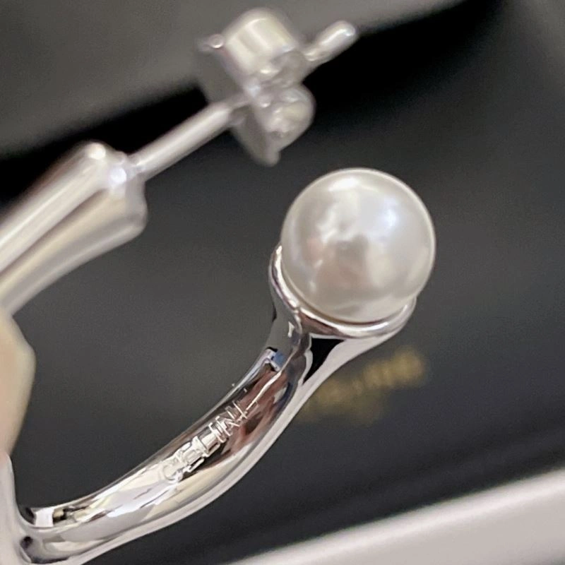 Affordable Celine Earrings