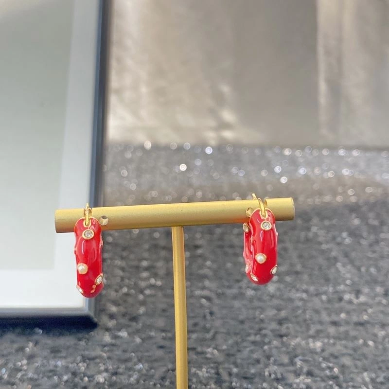 Top mirror Celine Earrings