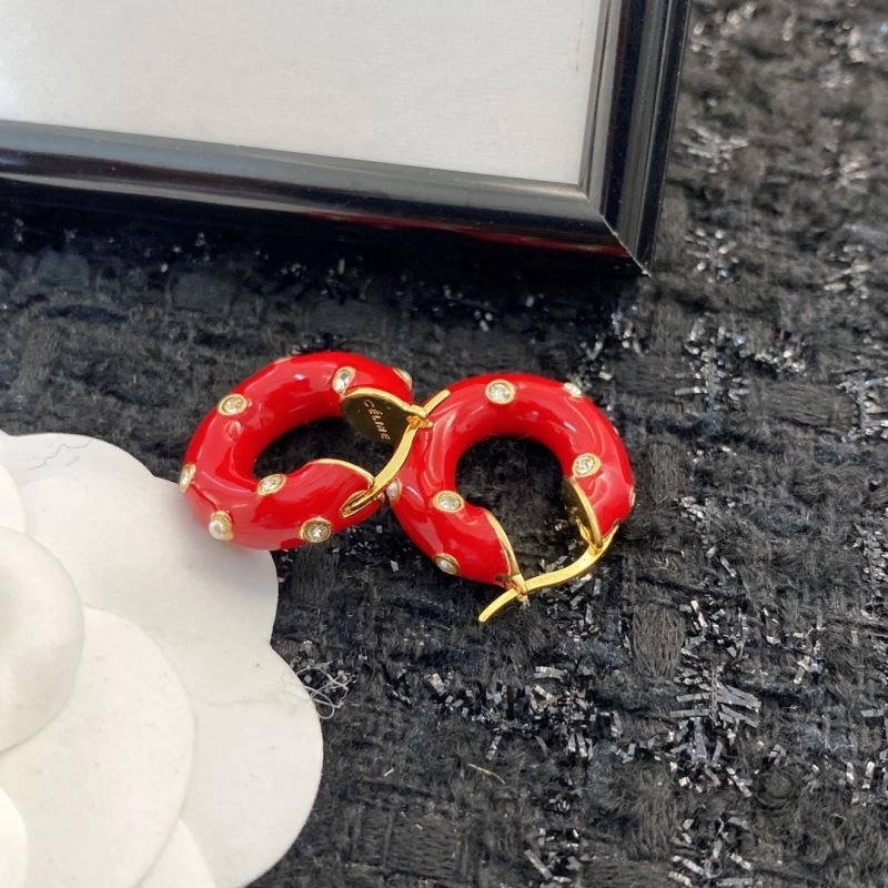Top mirror Celine Earrings