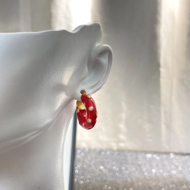 Top mirror Celine Earrings