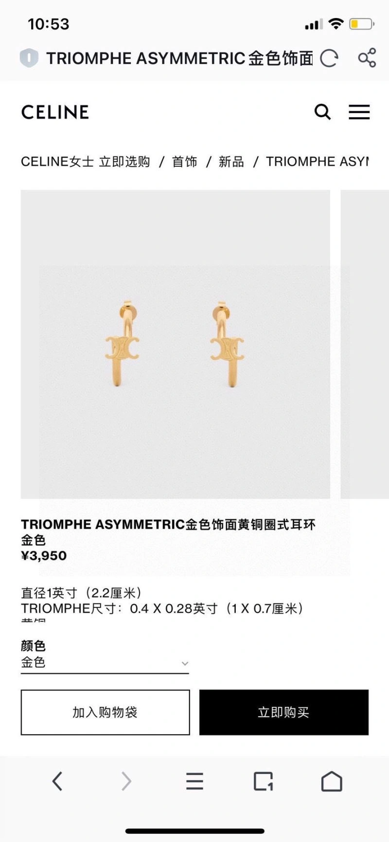 High accuracy Celine Earrings