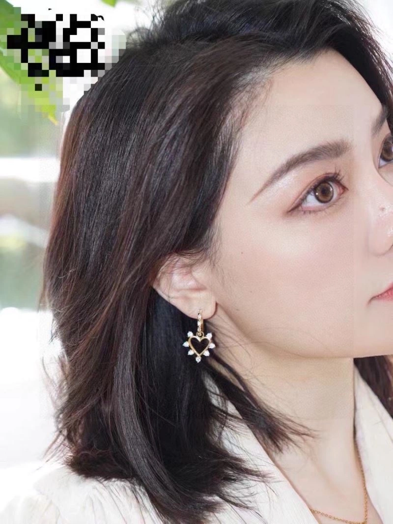 Affordable Celine Earrings