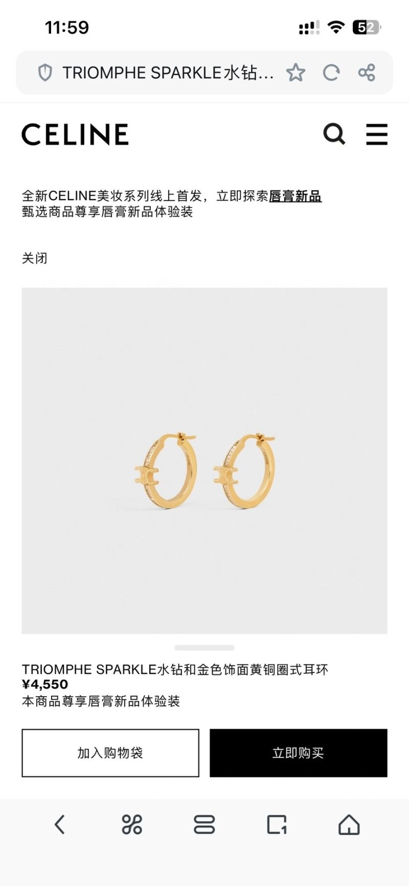 Precise copy Celine Earrings