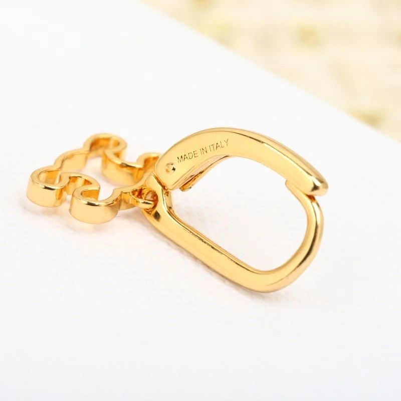 Top mirror Celine Earrings